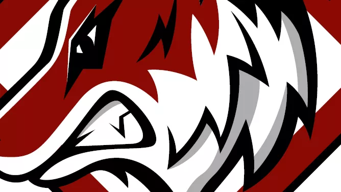 Many Farms High School | Home of the Lobos